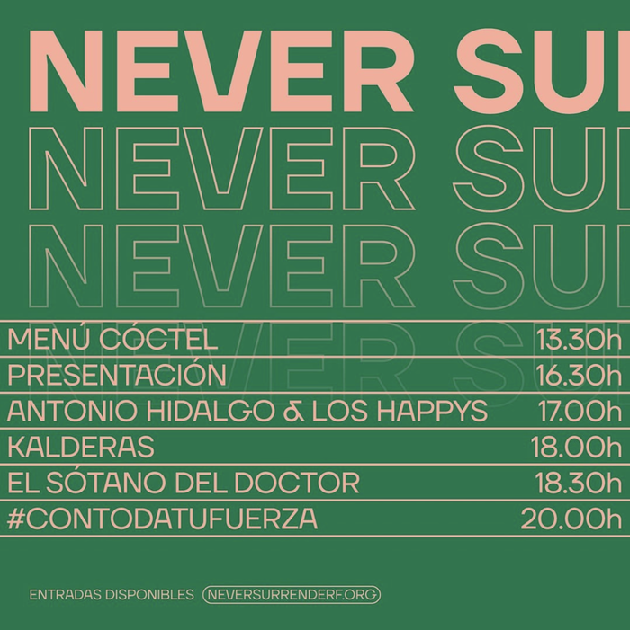 Never Surrender Fonts In Use